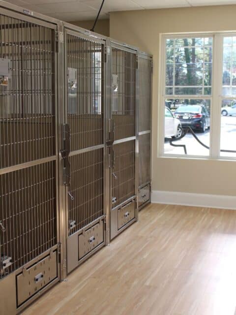Dog Boarding In Raleigh, NC | North Hills Animal Hospital & Resort